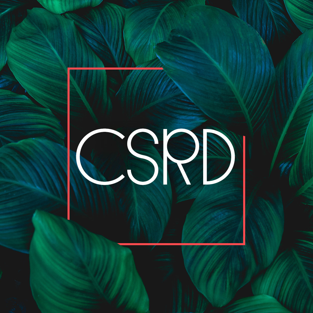 CSRD-konforme Mediabewertung