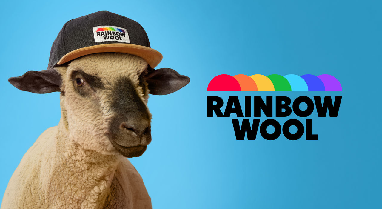 Rainbow Wool | La primera colección de moda hecha con lana de ovejas gais