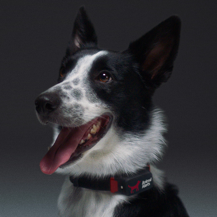 PetPace - Animal Alerts