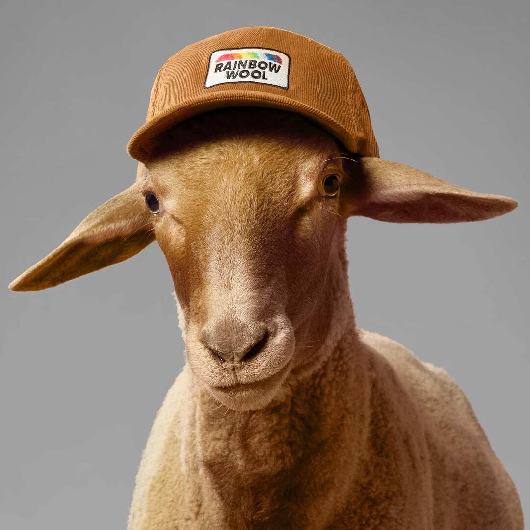 Rainbow Wool - Wool for diversity