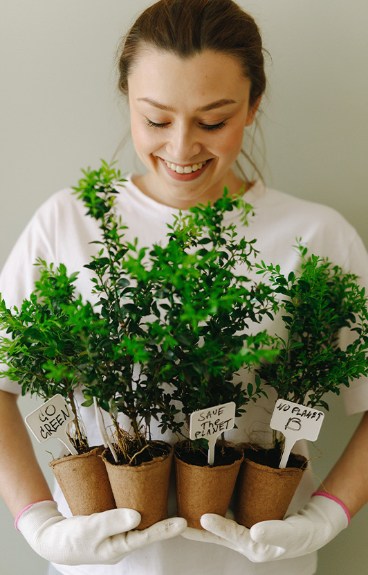 Mediaplus AI Contact